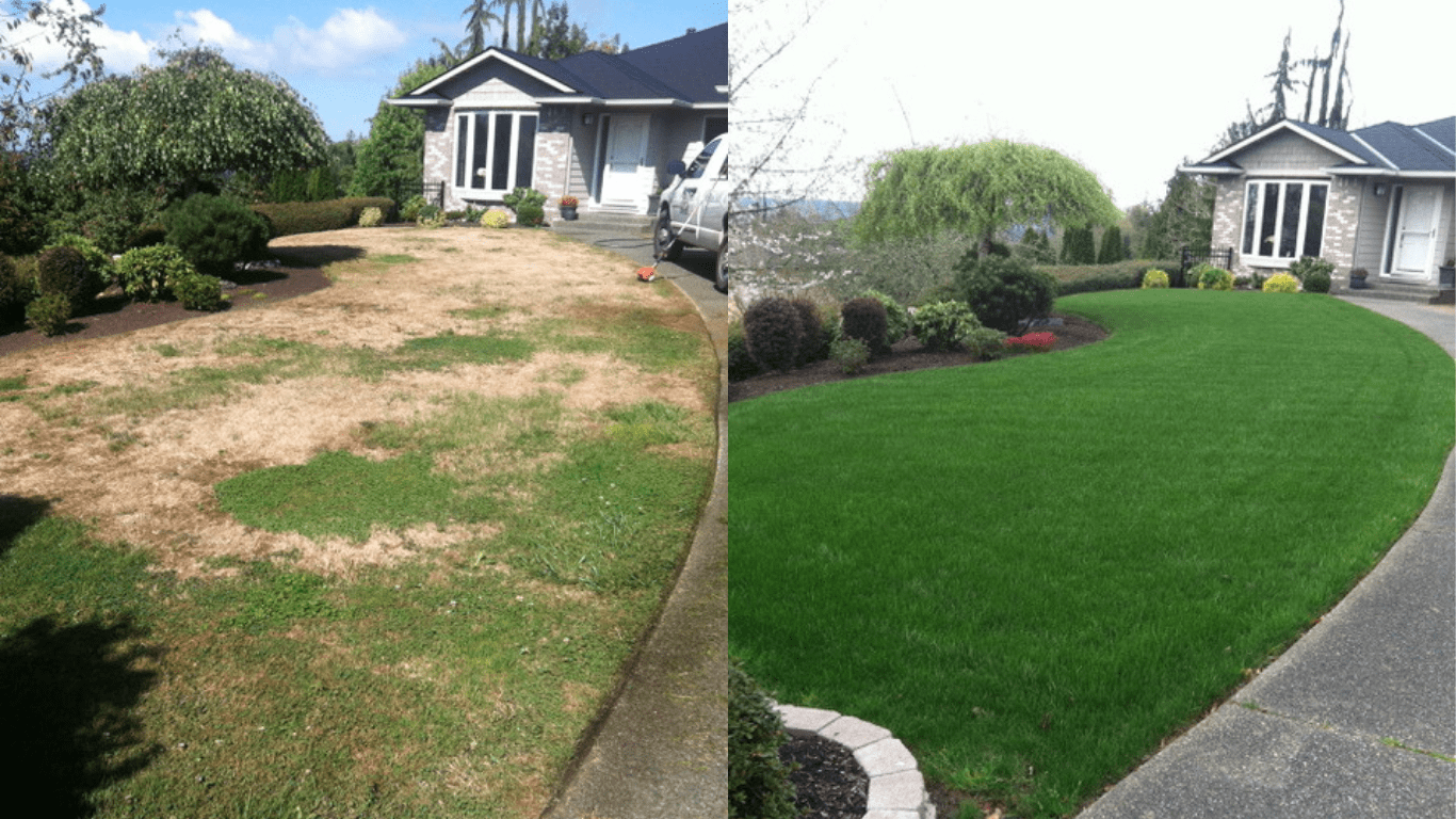 Lawn Renovations by Liberty Landscaping Pros - Monroe WA